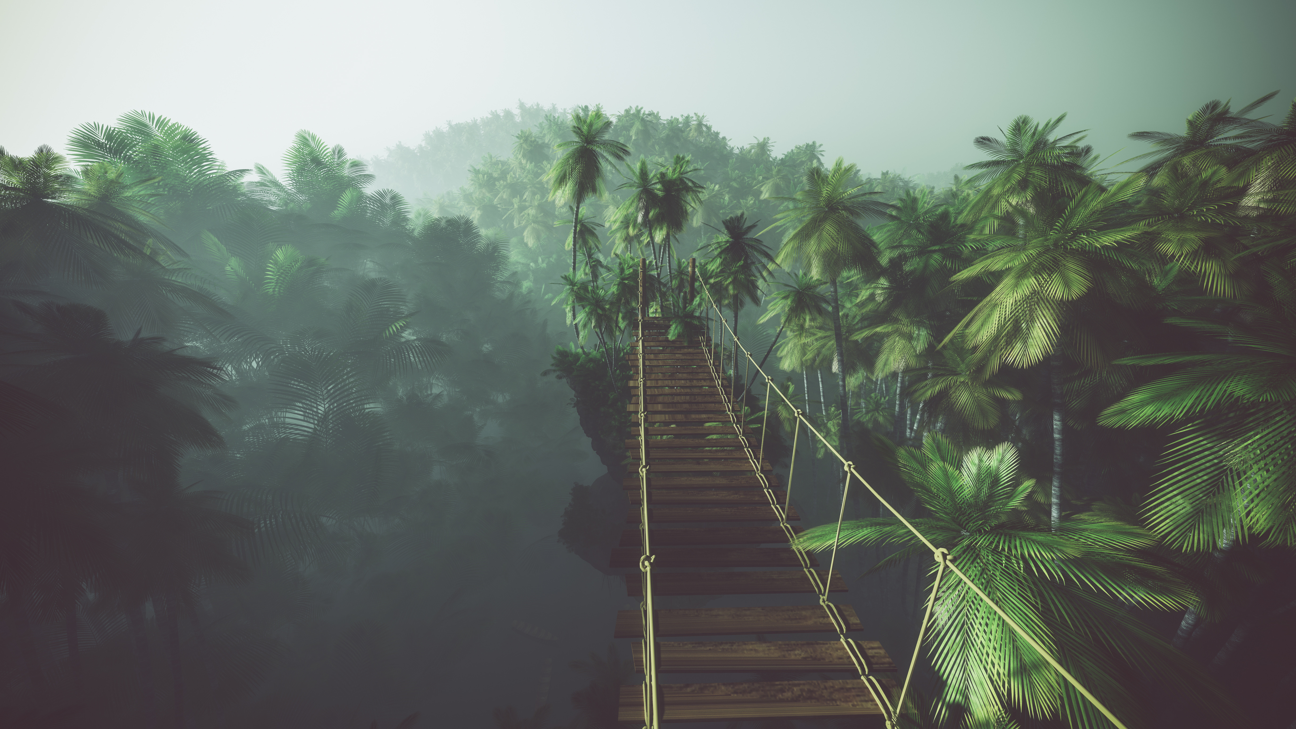 Rope bridge in misty jungle with palms | Wonder Wall